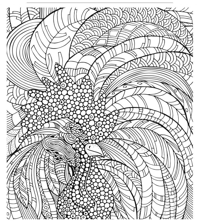 Backyard Poultry Coloring Pages 2017 - Backyard Poultry